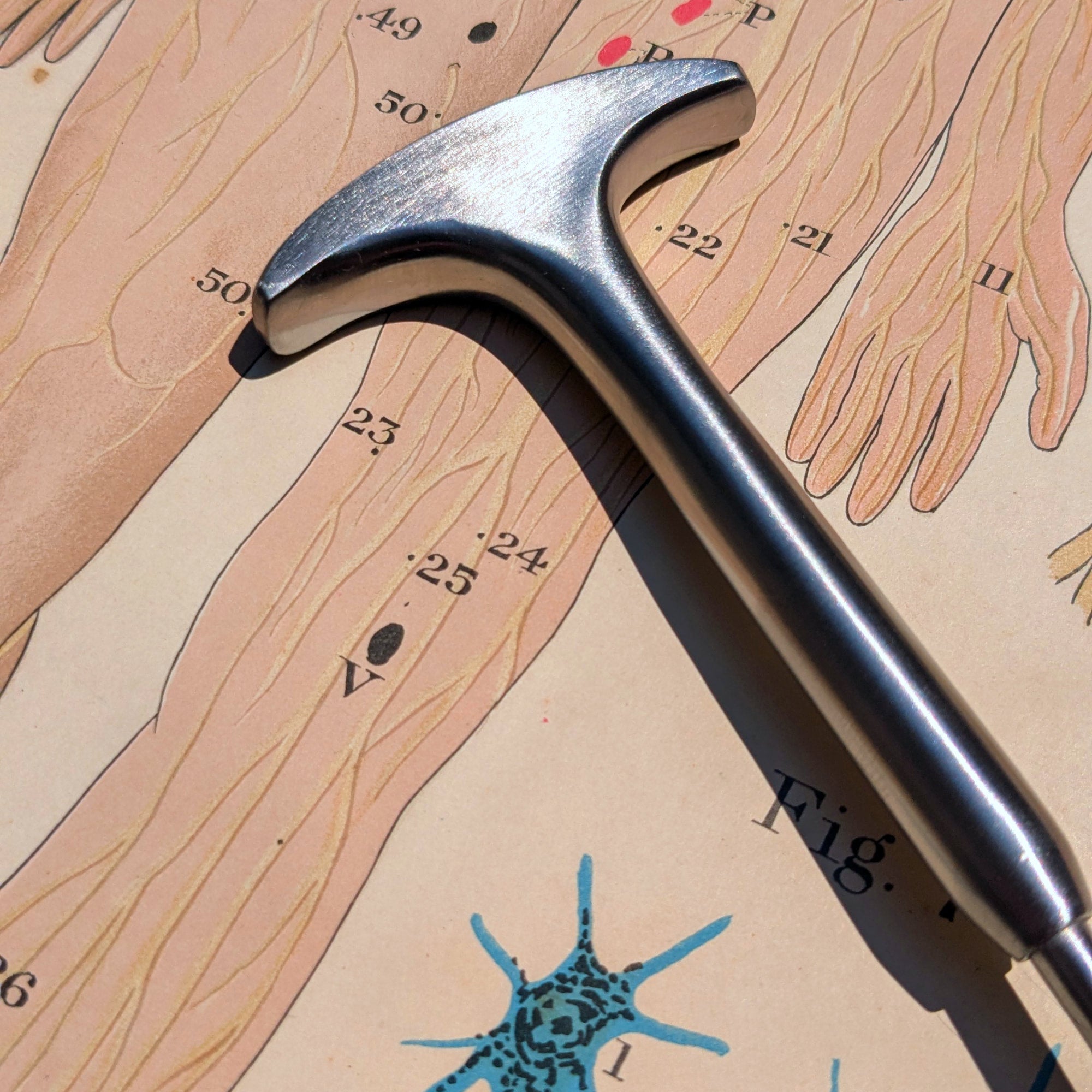 Lobotomy tools | Morbitorium