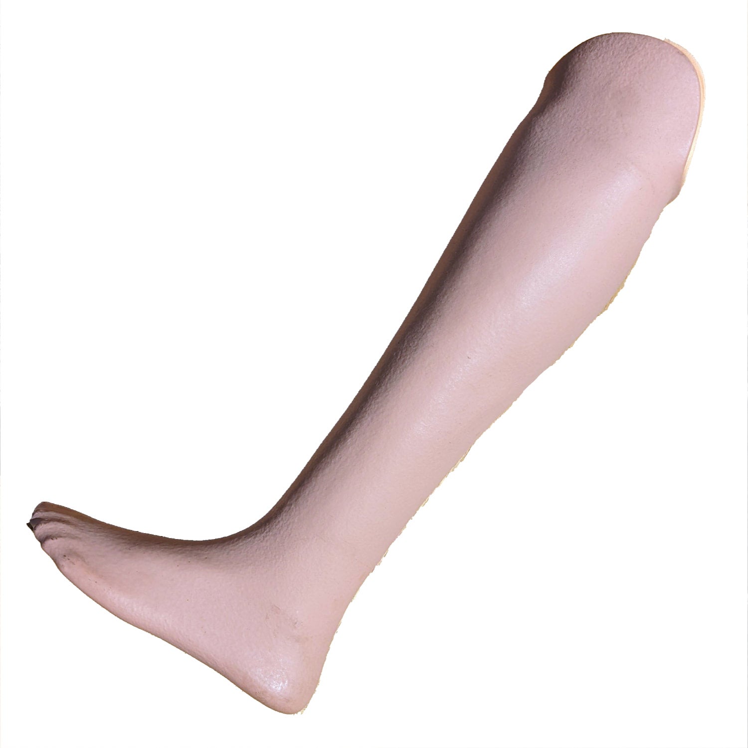 Prosthetic leg | Morbitorium