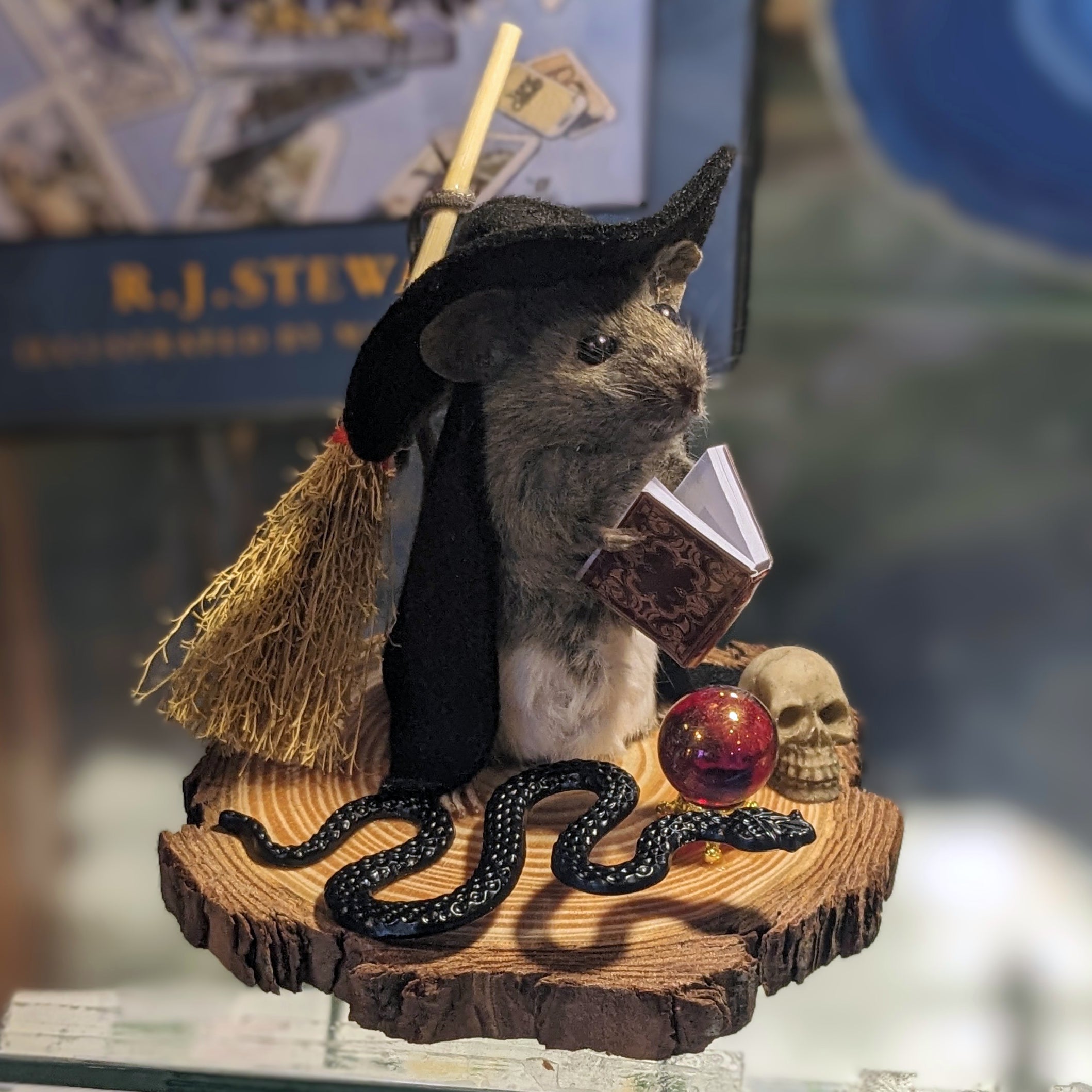 Witch mouse | Morbitorium
