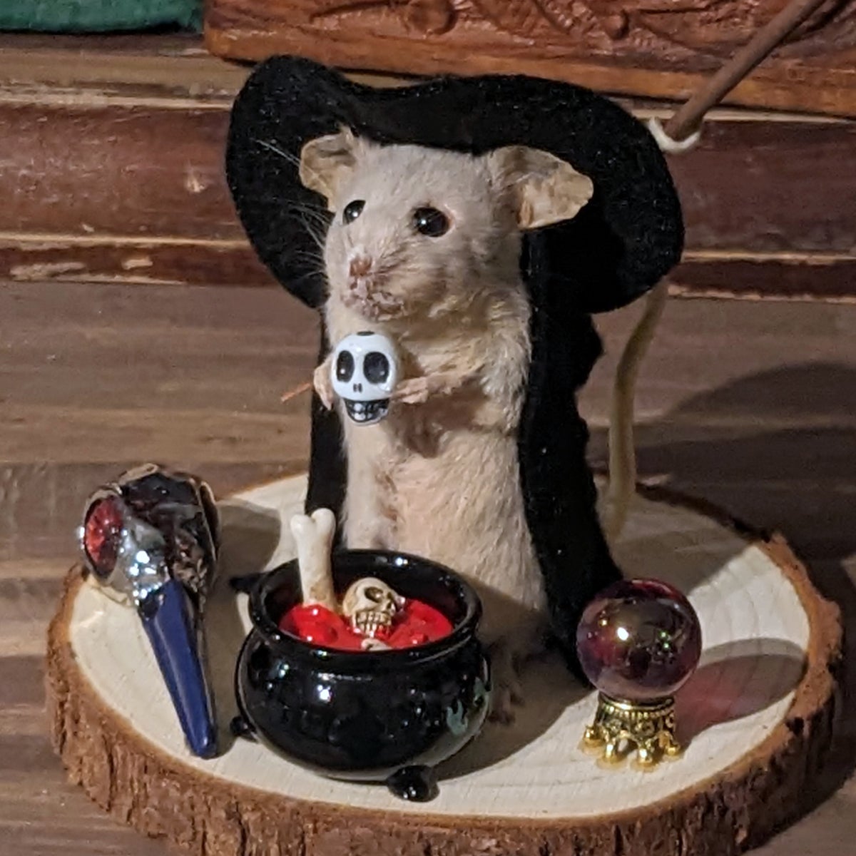 Witch mouse | Morbitorium