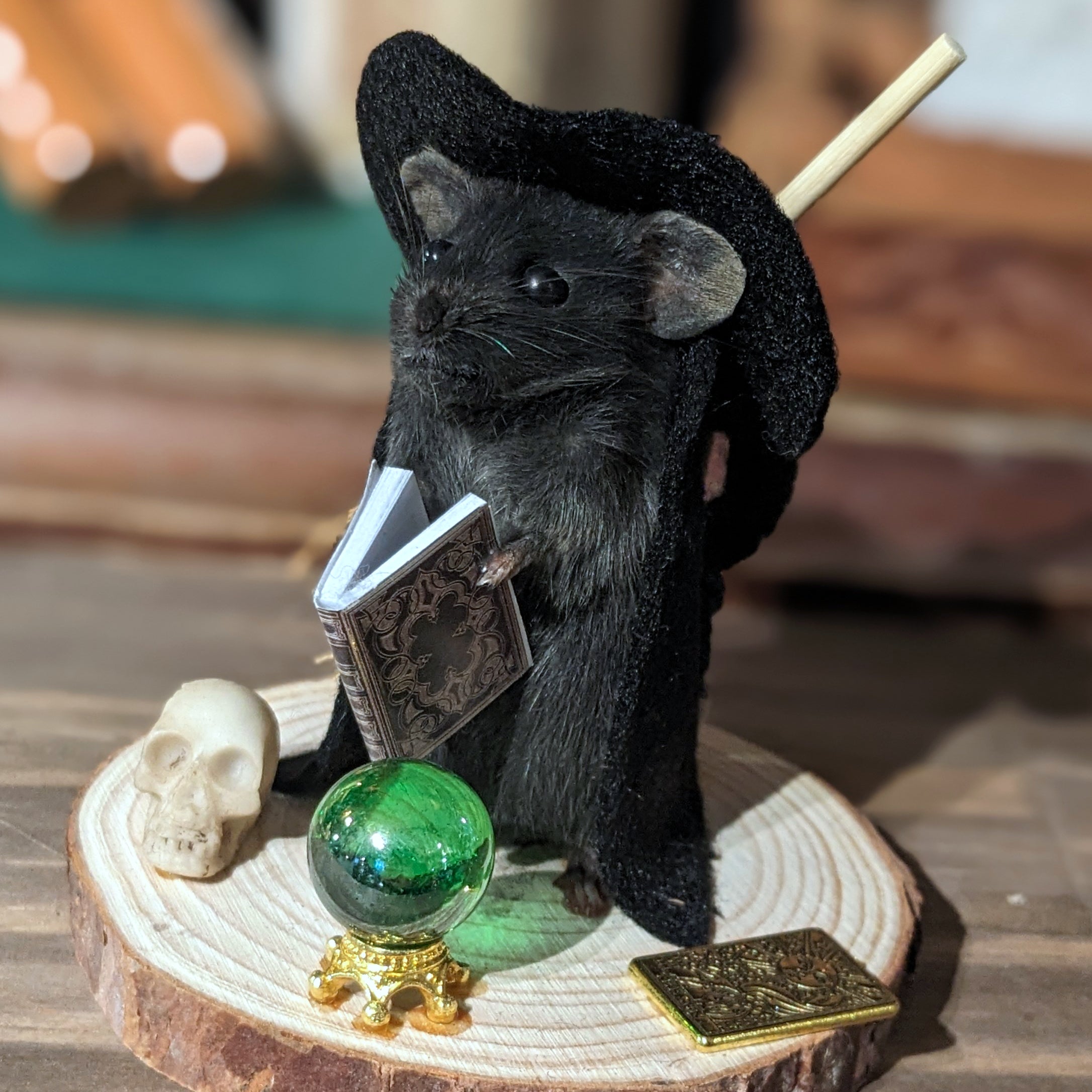 Witch mouse | Morbitorium