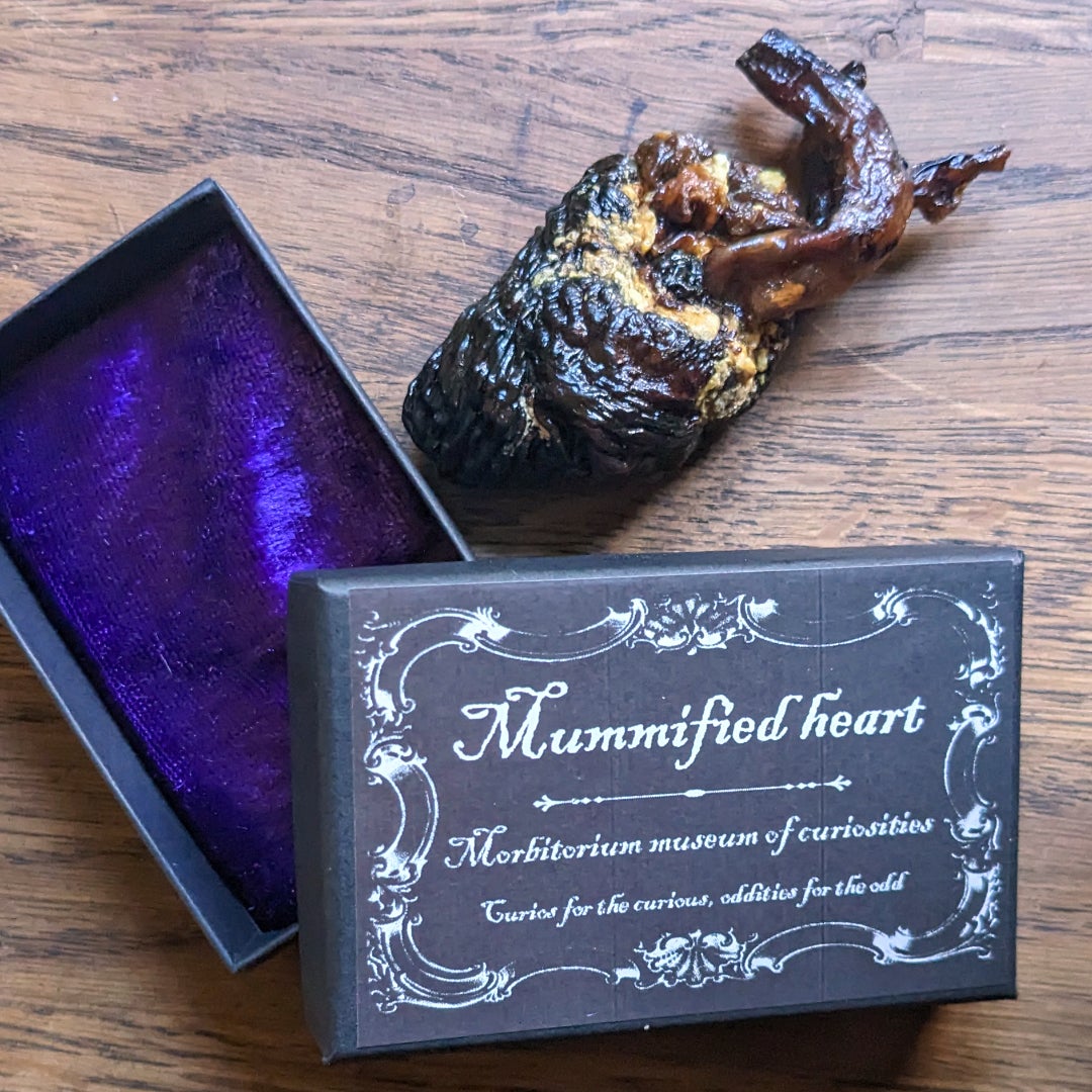 Mummified heart in black display box | Morbitorium