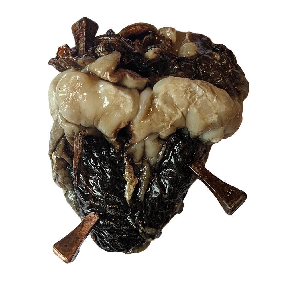 Mummified pierced heart | Morbitorium